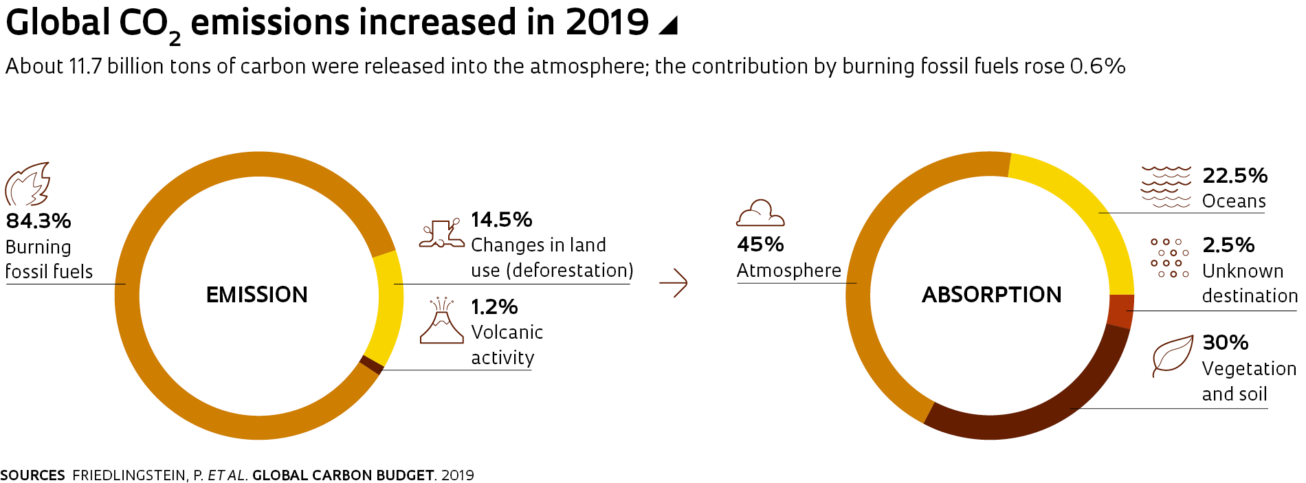 The Amazon is now a source of CO2 : Revista Pesquisa Fapesp