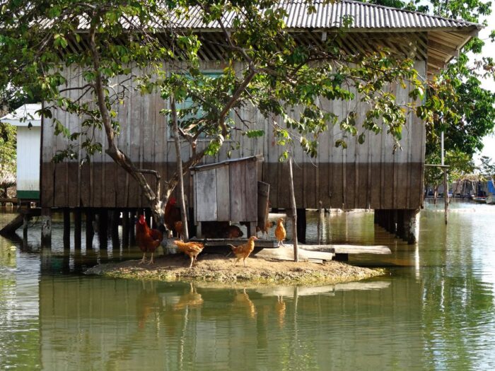 Ribeirinhos da Amazônia enfrentam a fome durante a cheia anual dos rios ...