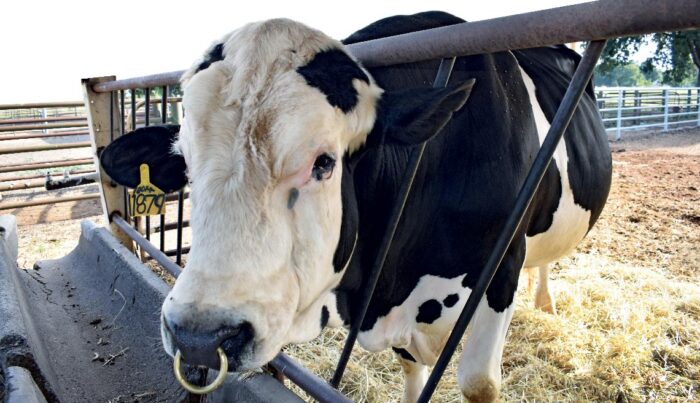 A scientific hitch : Revista Pesquisa Fapesp