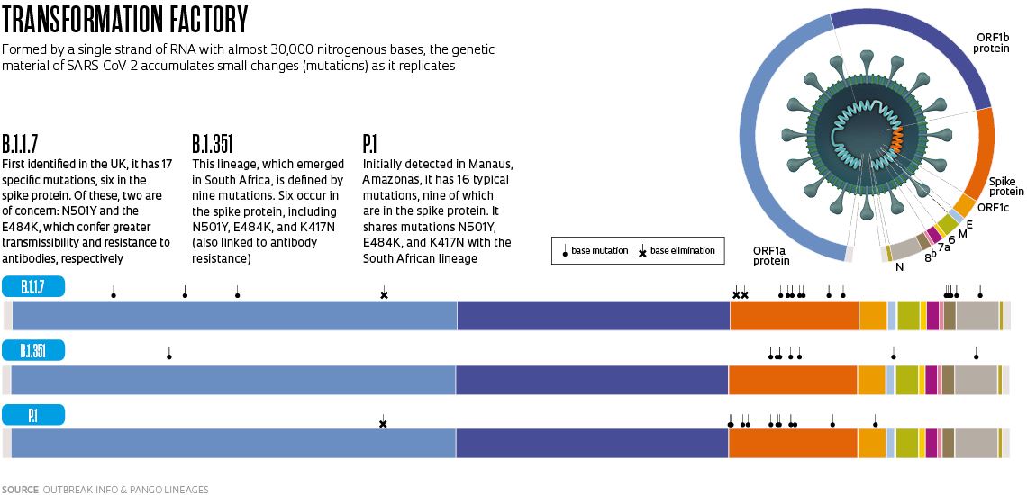 The evolution of a virus : Revista Pesquisa Fapesp