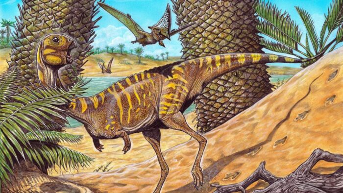Primeiro dinossauro sem dentes da América do Sul é descoberto no Paraná ...