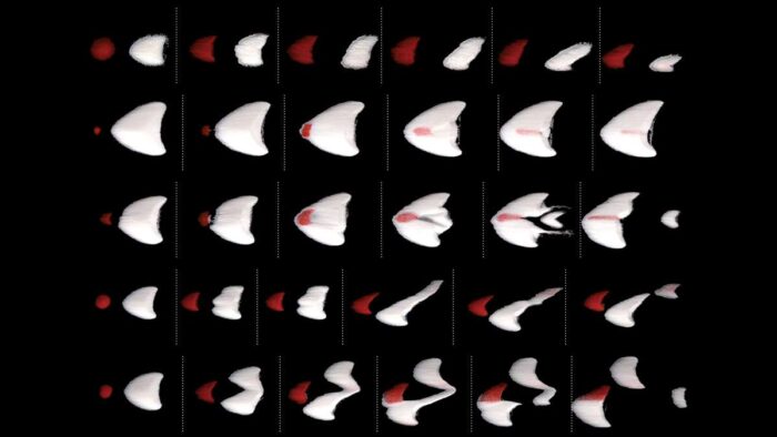 El desplazamiento de los barjanes : Revista Pesquisa Fapesp