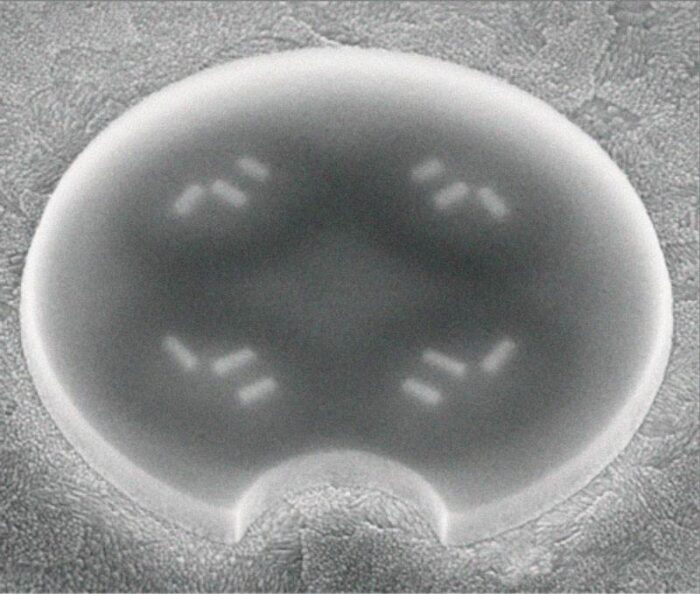 Microscopic drones controlled by light : Revista Pesquisa Fapesp