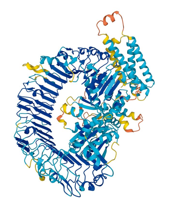 A inteligência artificial chega à saúde : Revista Pesquisa Fapesp