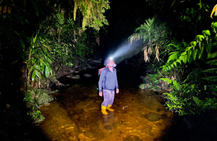 Uma expedição à serra do Imeri, montanha inexplorada na Amazônia ...