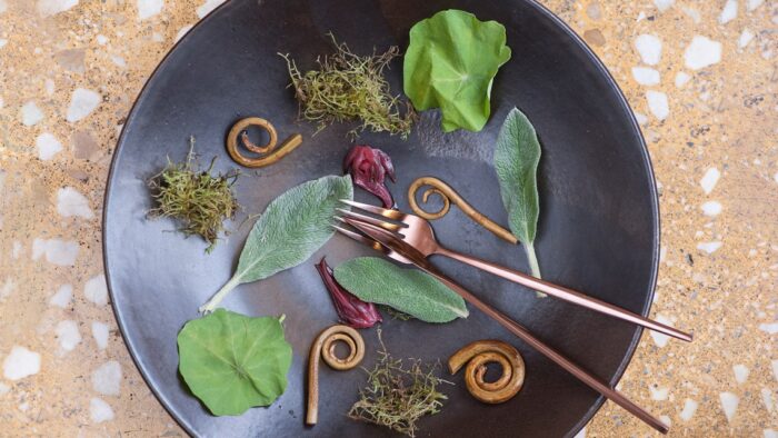 Unconventional food plants in the Brazilian diet : Revista Pesquisa Fapesp