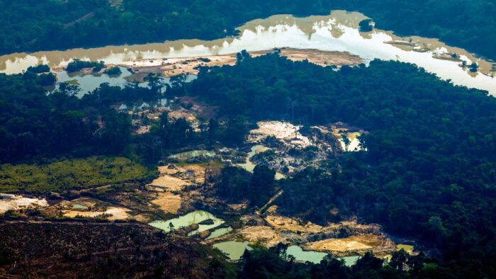 The dangers of mining in Indigenous areas : Revista Pesquisa Fapesp
