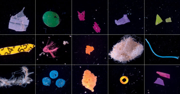 Os impactos dos microplásticos sobre a saúde humana : Revista Pesquisa ...
