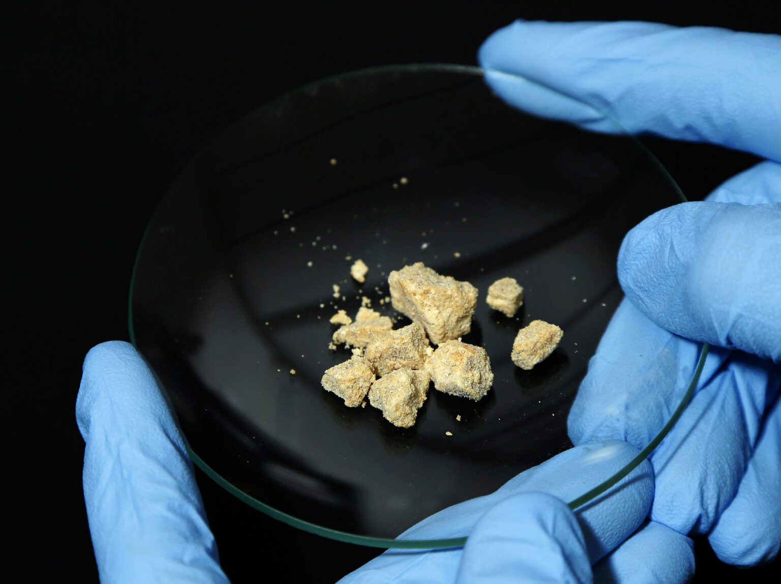 A potential vaccine against cocaine abuse : Revista Pesquisa Fapesp