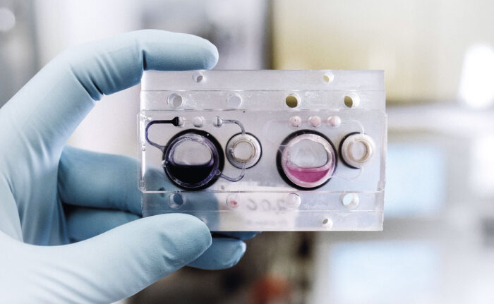 Advances in 3D printing of human tissues : Revista Pesquisa Fapesp