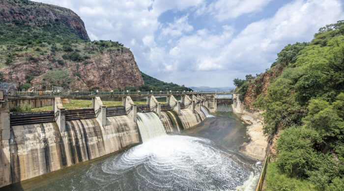More dams, less fish diversity : Revista Pesquisa Fapesp