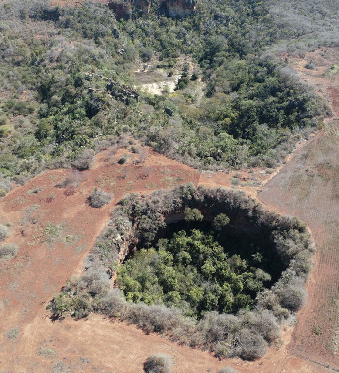 Novo mapeamento expõe diversidade da Caatinga : Revista Pesquisa Fapesp